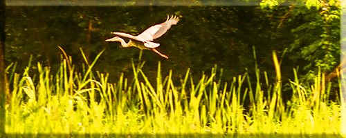 Beginning Steps 4/4 – Iwihub.com