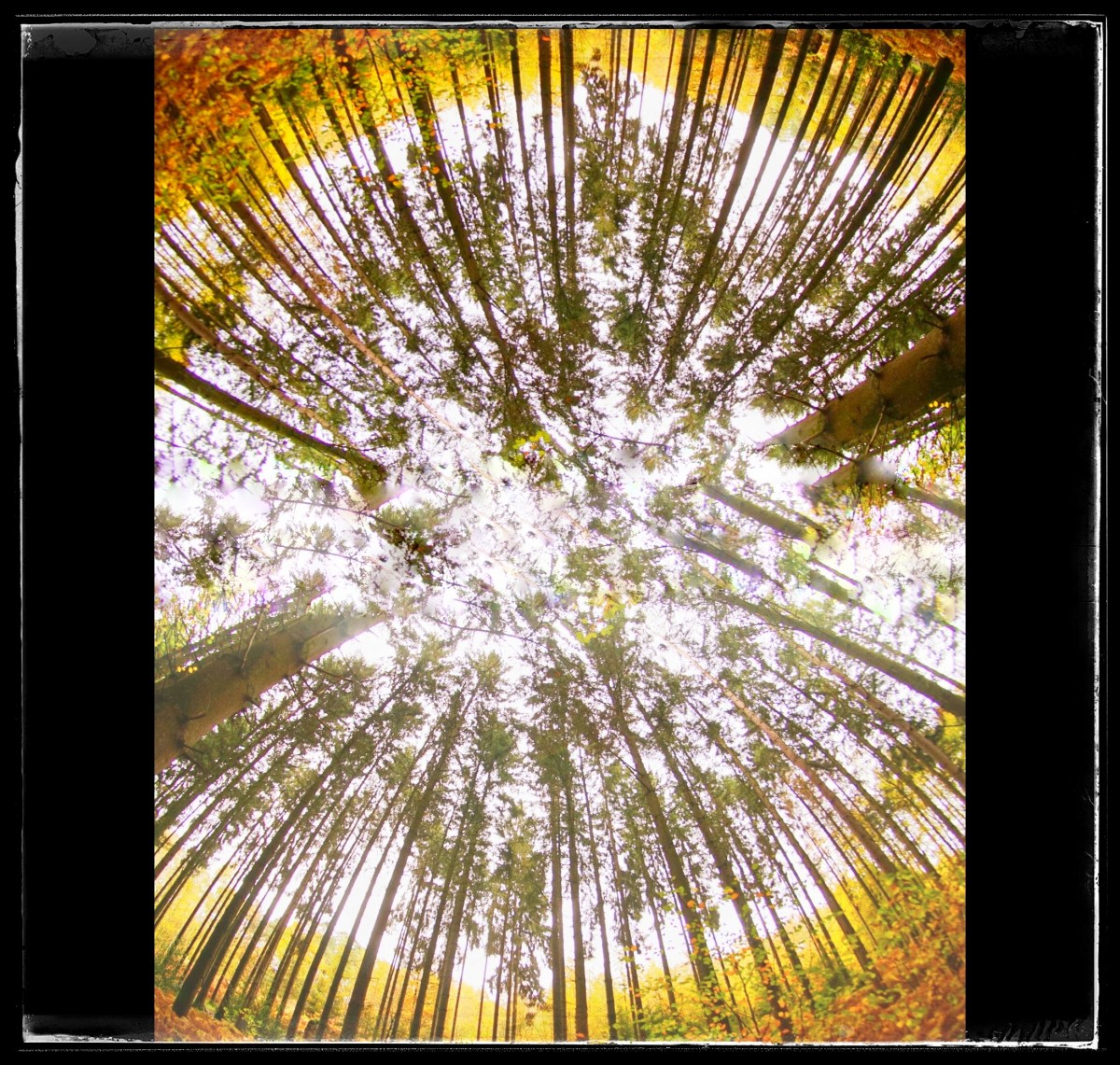 The Allness of God Made Manifest – Iwihub.com