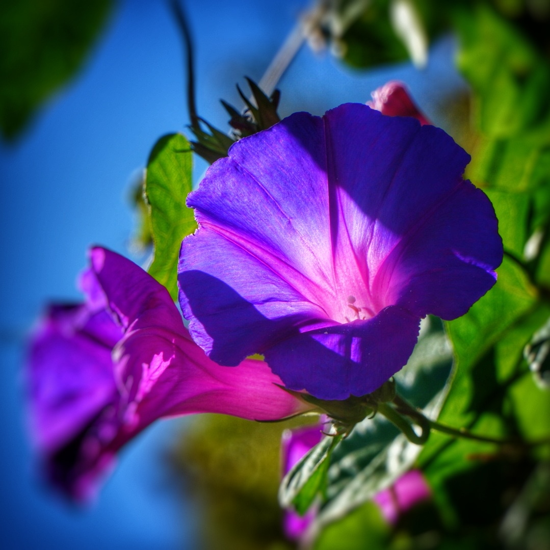 Spontaneity – Iwihub.com